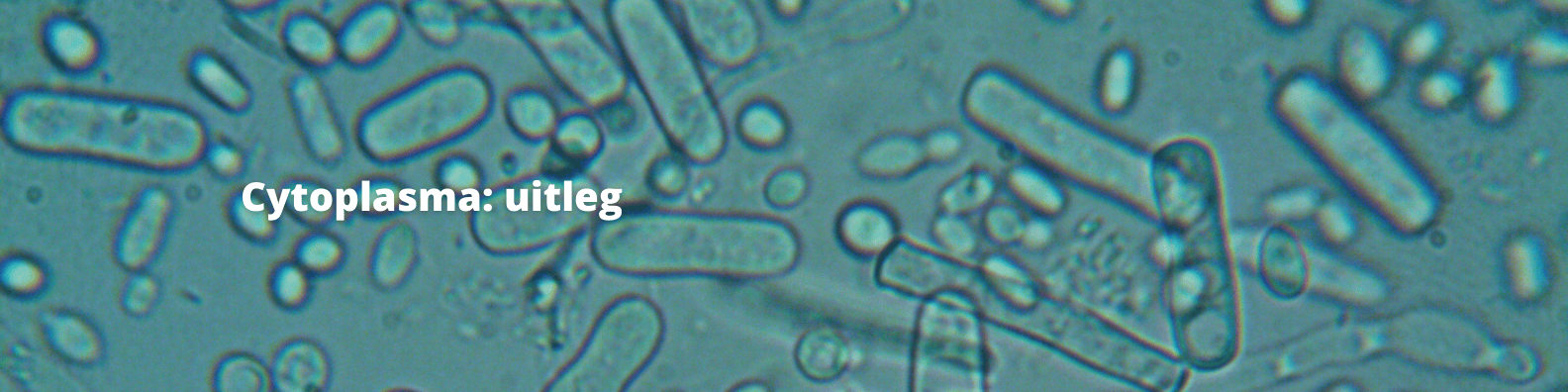 Cytoplasma | Digistudies