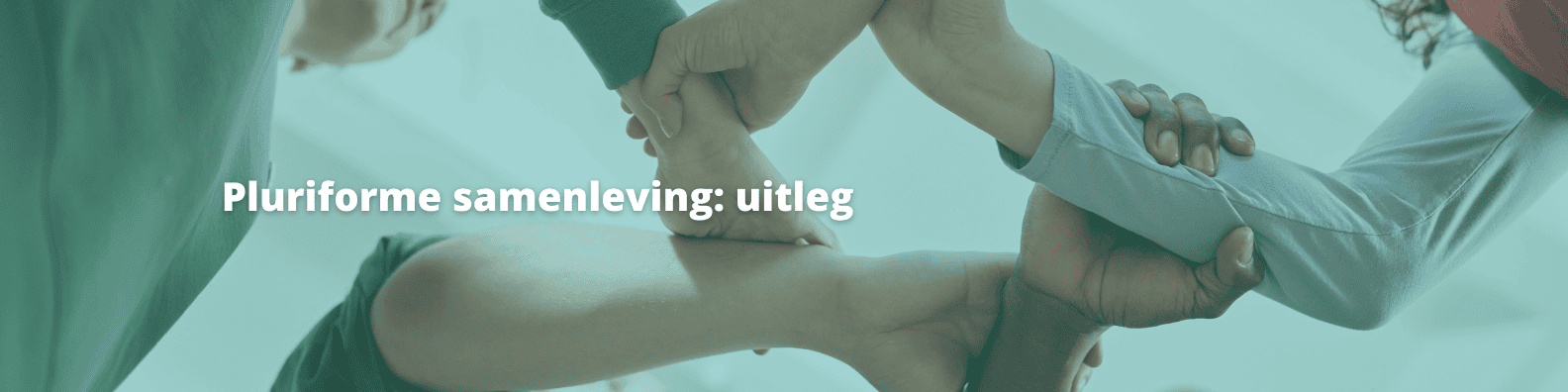 Pluriforme samenleving